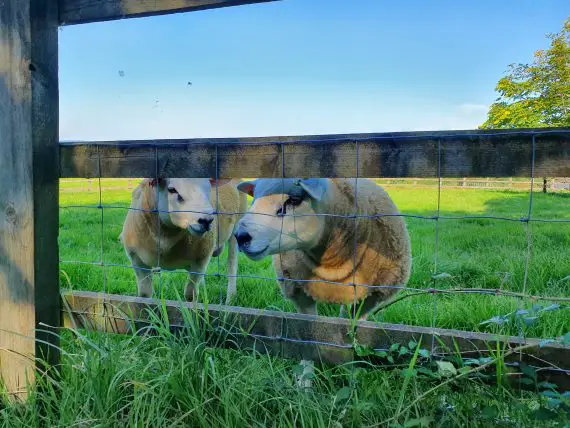 35 Most beautiful Villages in England - Top British countryside!