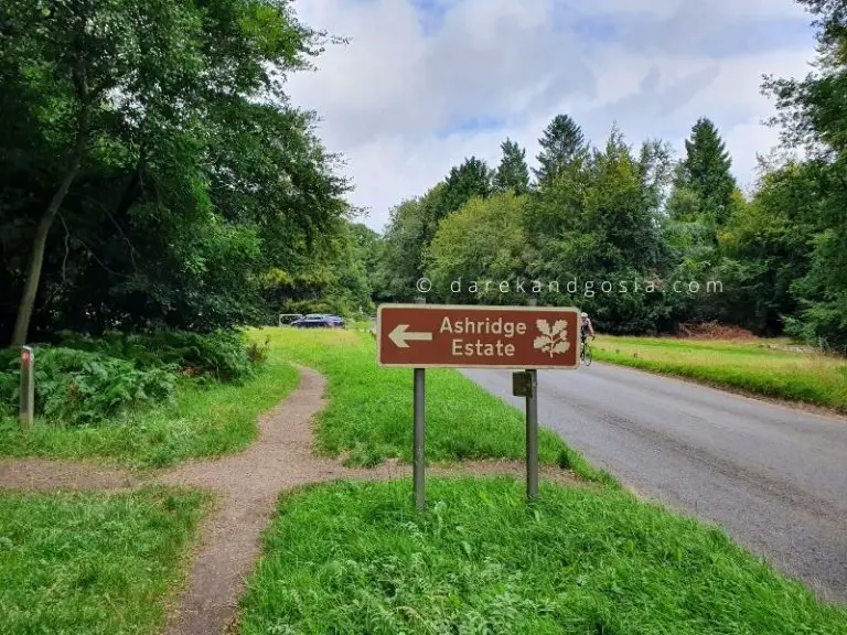 Things to do around National Trust Ashridge Estate, Hertfordshire