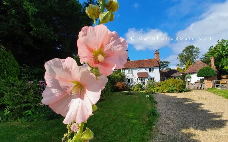 What's Surrey famous for? Top 18 places to visit in Surrey!