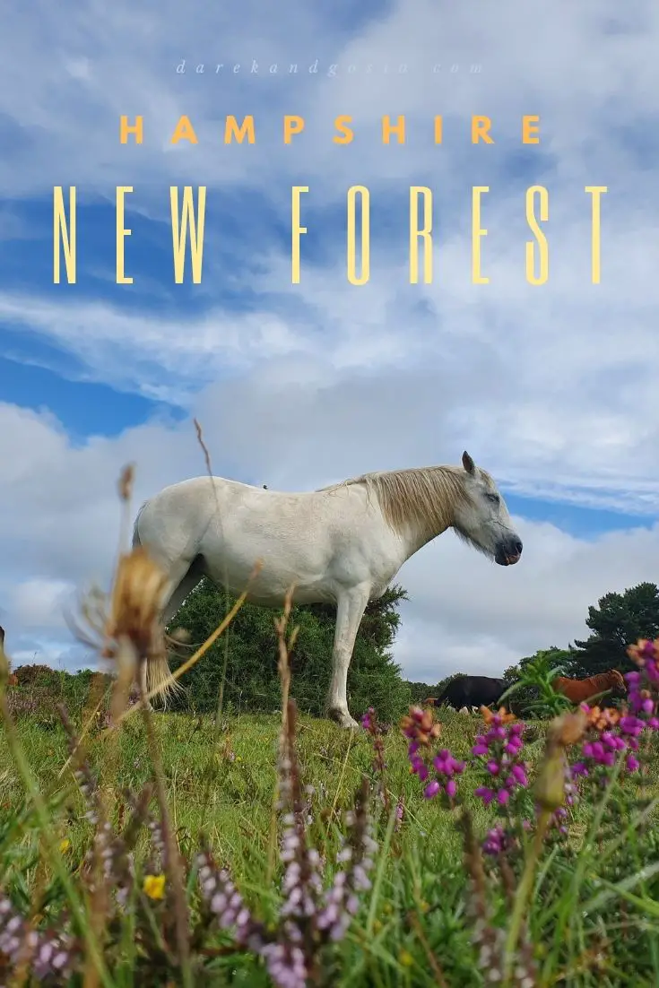What to do in the New Forest? Top 20 must-visit places!
